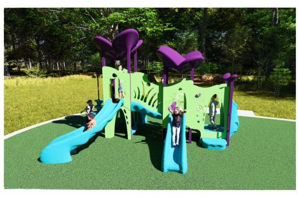 Public vote on new State Farm Park playground design