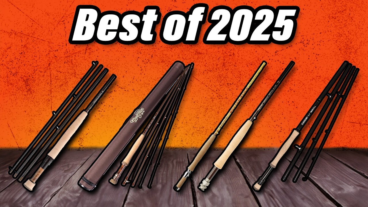 6 Best Fly Fishing Rods in 2025 For EVERY Type Of Angler