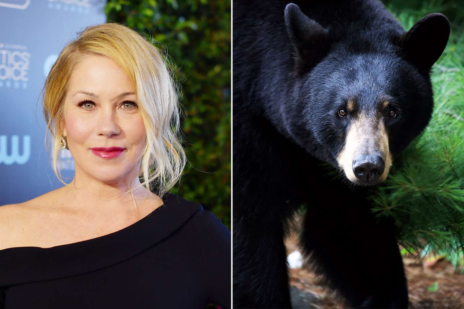 Christina Applegate and Judd Apatow on all-too-real bear scene in ...