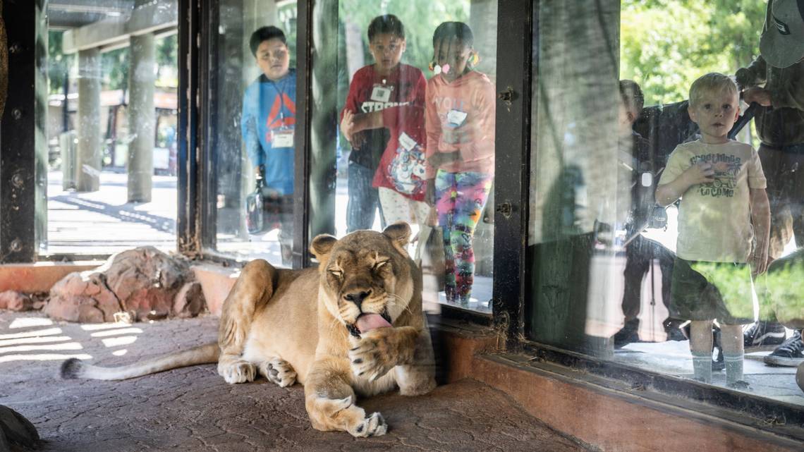 Sacramento Zoo and city sign up for three more years in Land Park
