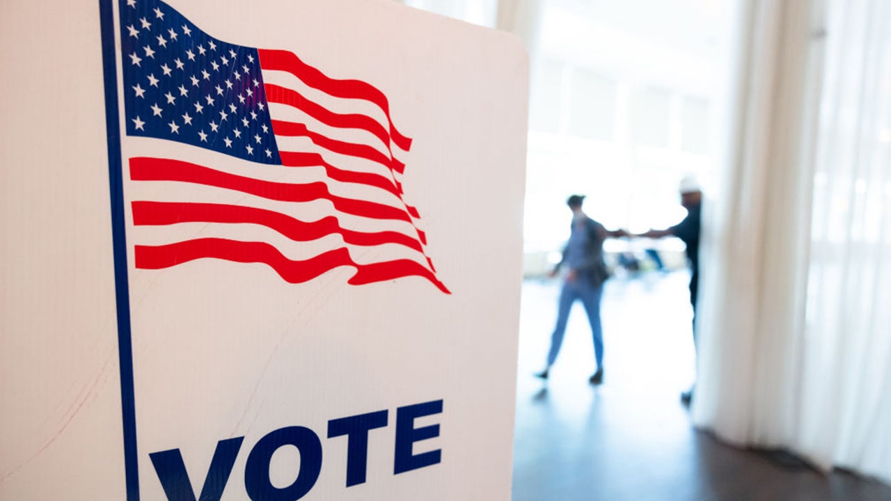 2025 Virginia primary election results