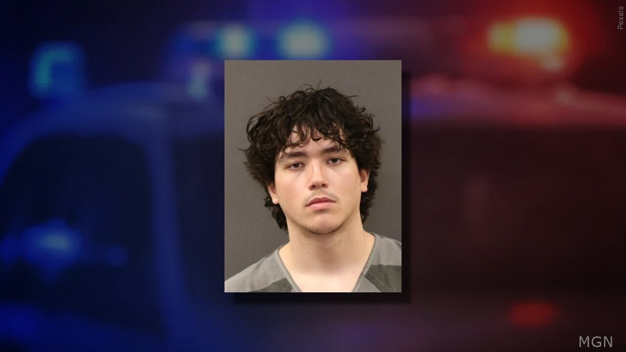 Grand Island man pleads guilty to throwing Molotov cocktail at DHS facility