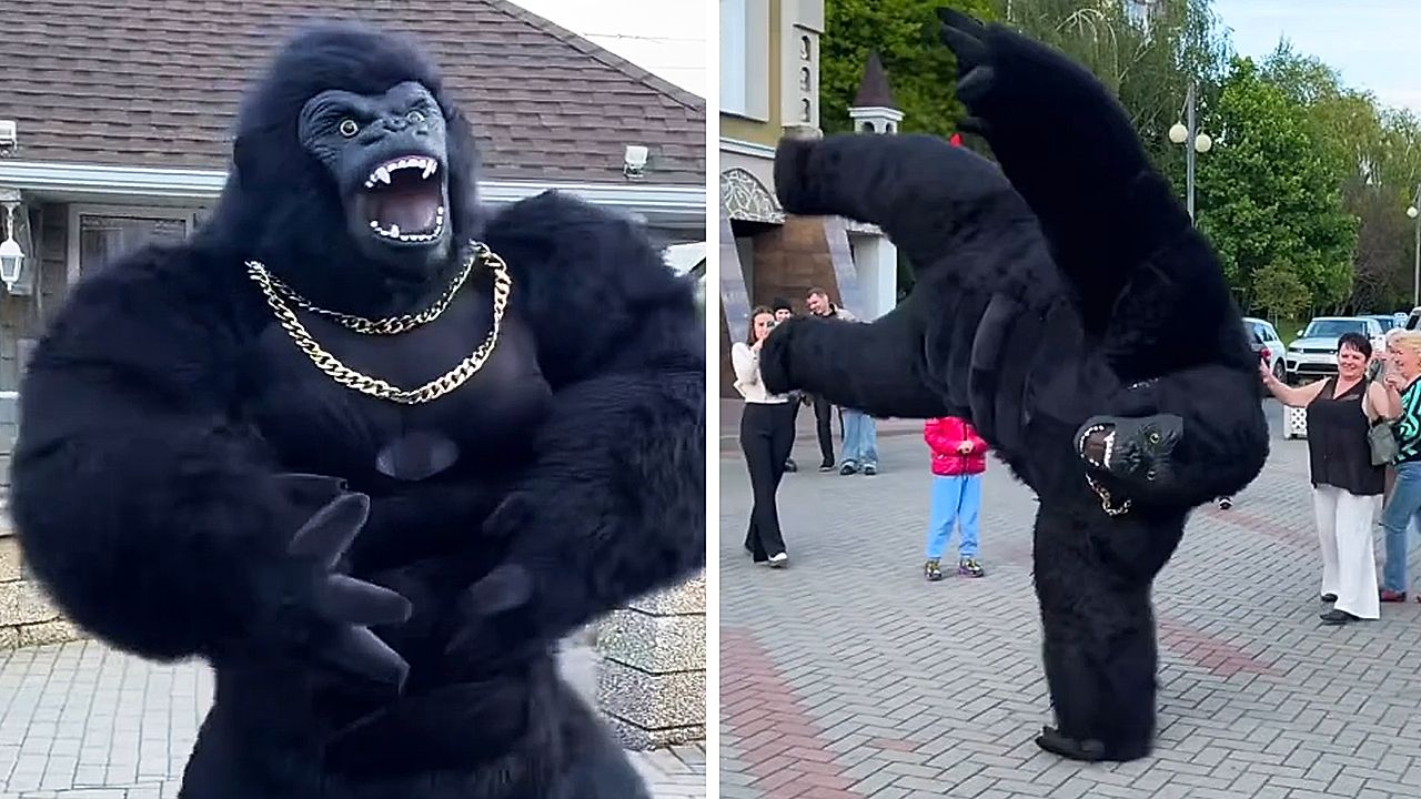 Groovy gorilla! Man in costume stuns crowd with epic breakdance