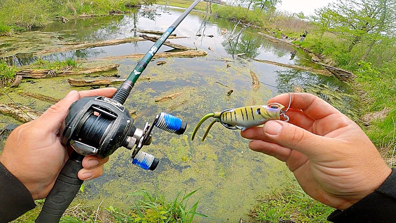 Catching biggest bass of year on frog lure