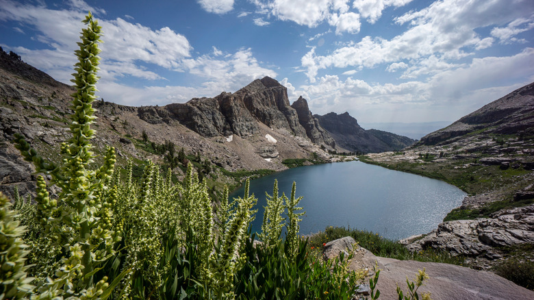 One Of Nevada's Most Underrated State Parks Offers Endless Outdoor ...