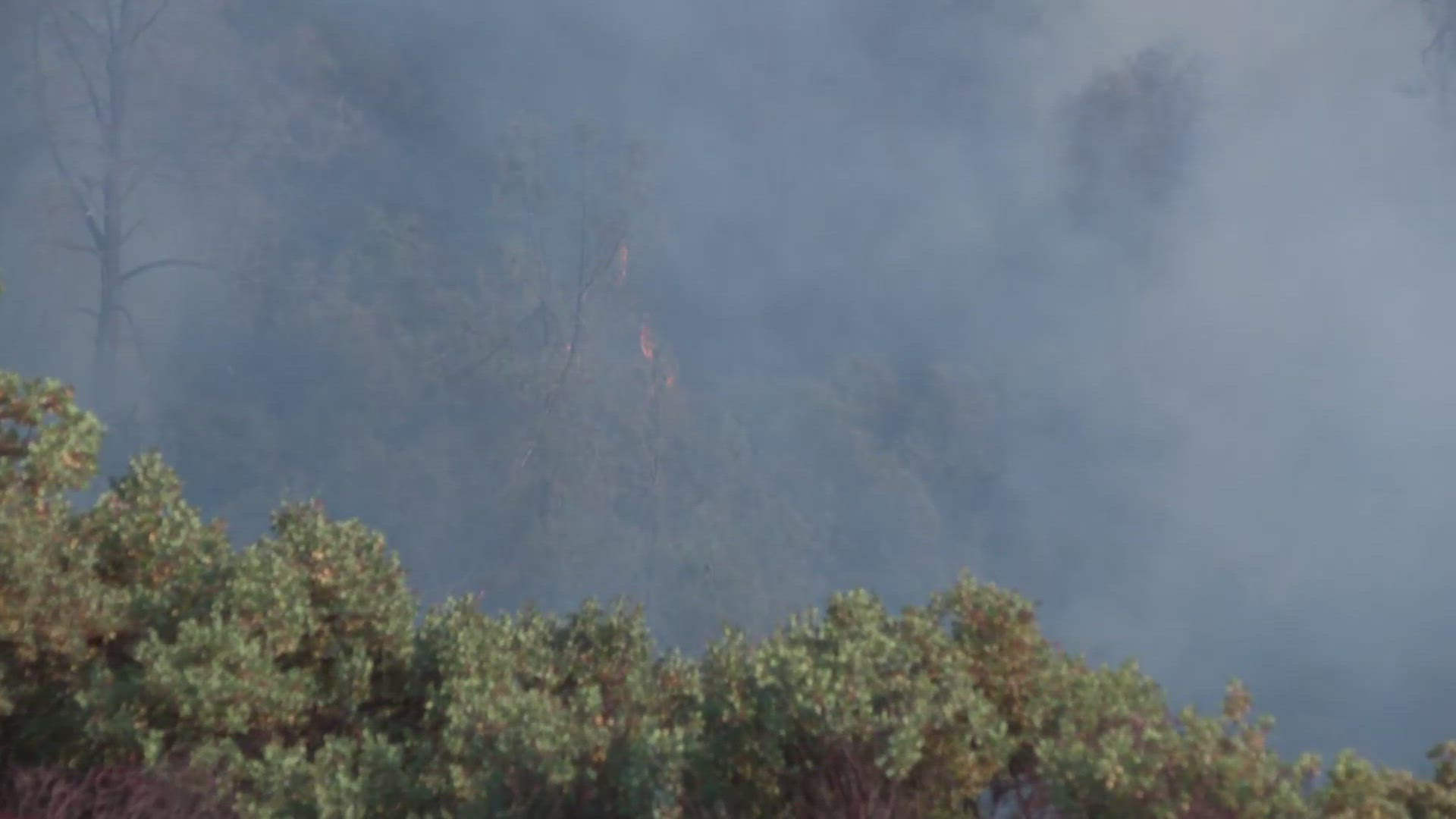 Evacuations issued as Bonanza Fire spreads in El Dorado County ...