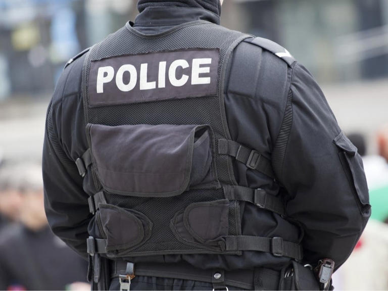 Protestors Rally Outside OC City Hall To Decry Handling Of ICE Raids