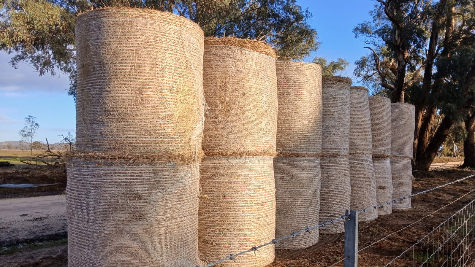 BlazeAid pays hay transport costs for Victorian farmers struggling with ...