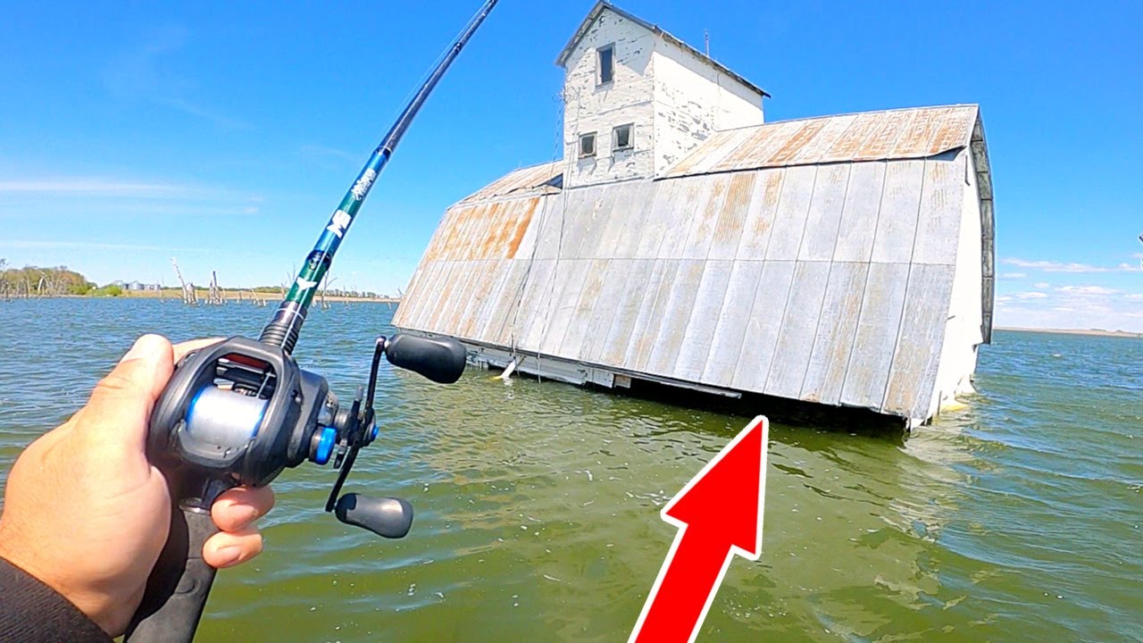 Catching biggest fish from flooded barn produces surprise