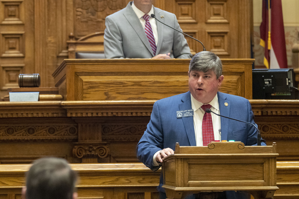 Georgia Republicans choose new Senate leaders to replace those seeking ...