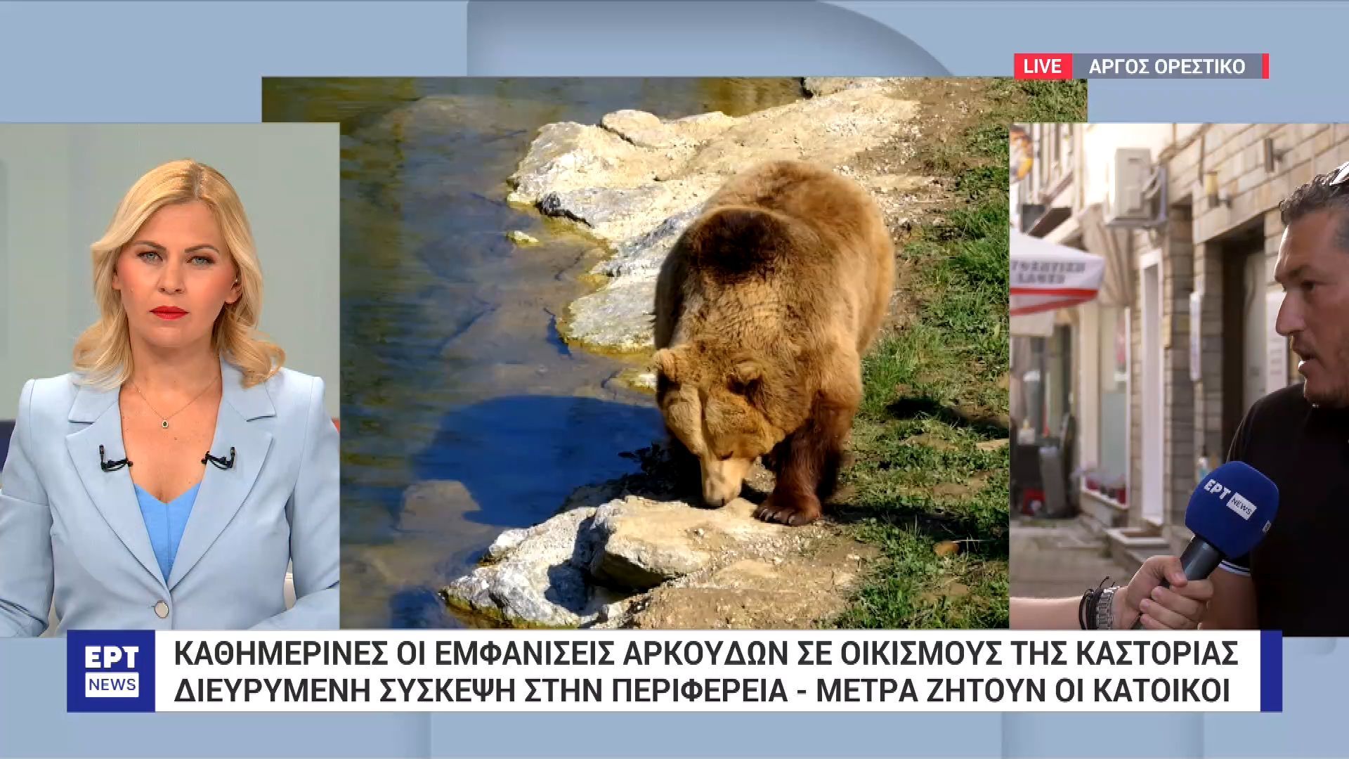 Καστοριά: Οι αρκούδες «διώχνουν» από τα χωράφια τους εργάτες γης