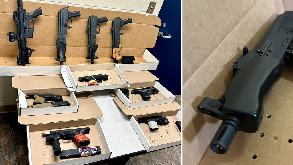 Teenager pleads guilty after investigators uncover cache of illegally ...