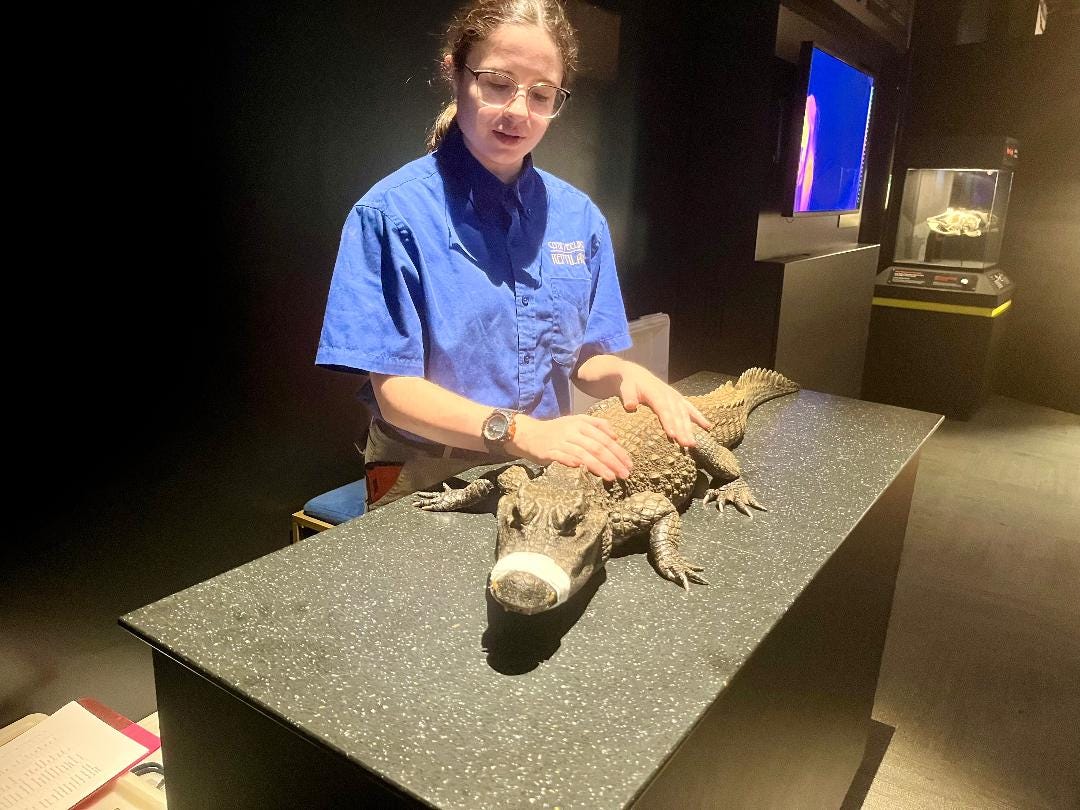 Field Museum rolls out unique reptile exhibit