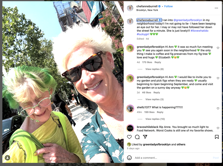 Anne Burrell, Food Network host and celebrity chef, dies at 55, her ...