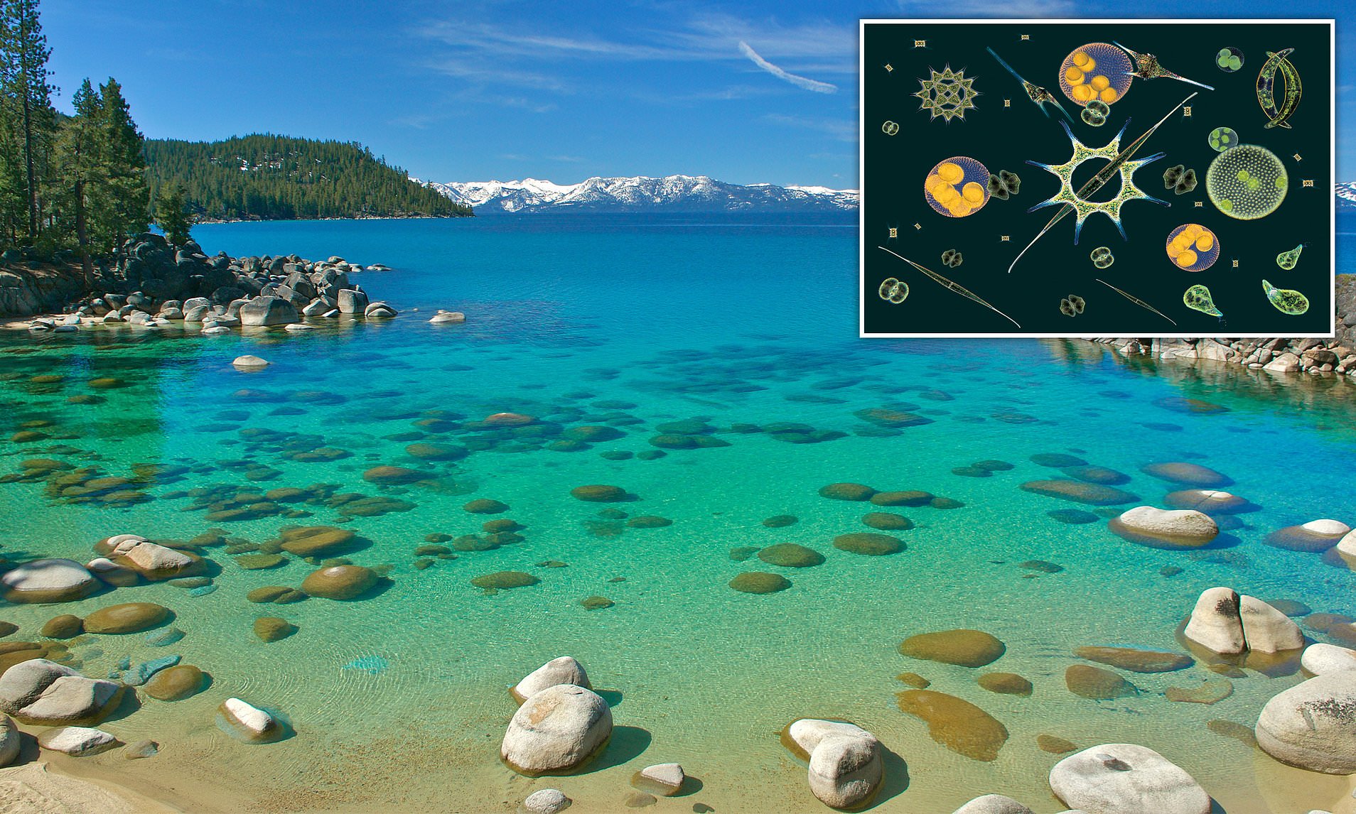 Beauty spot famed for crystal clear water is suddenly becoming murkier ...