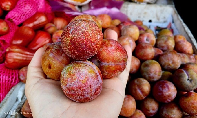 Plum prices fall to under $2/kg as good weather increases output