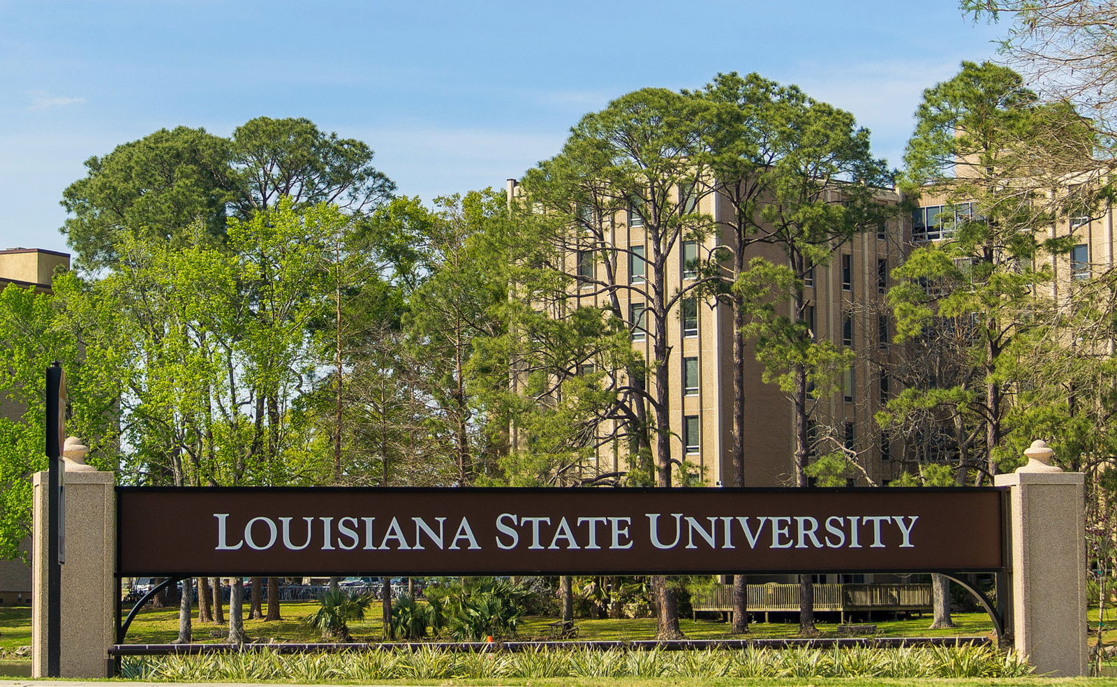 LSU community is in shambles due to AI 'cheating' allegations