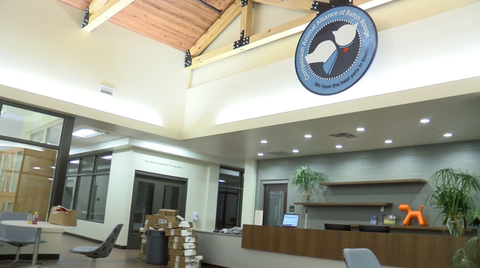 Animal shelter looking for homes for 300 dogs and cats, making changes ...