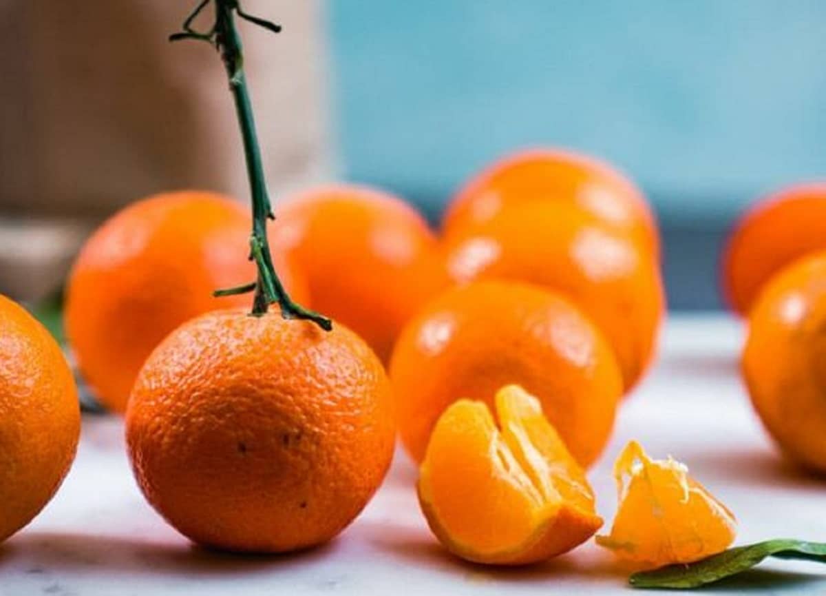 Características de la Satsuma: el cítrico más dulce y fácil de pelar