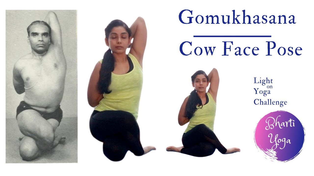 Gomukhasana | Cow Face Pose | Step by Step | Light on Yoga Challenge ...