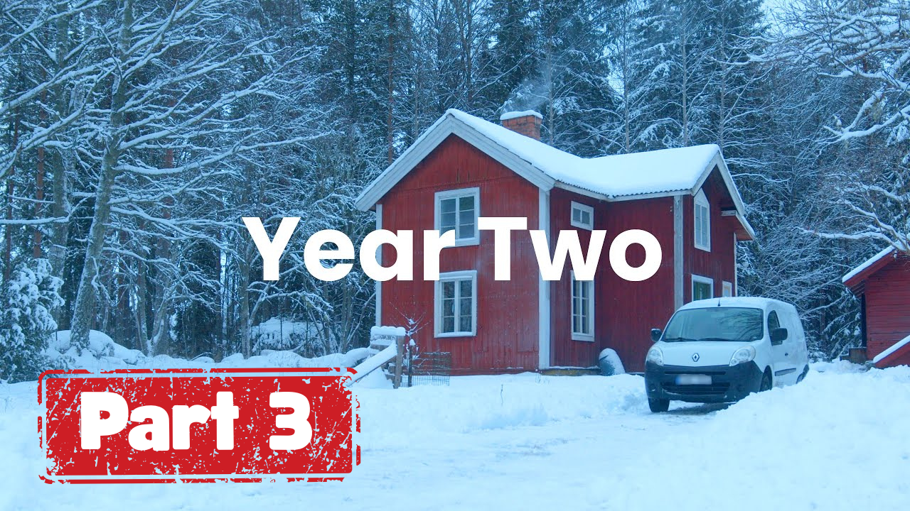 Year Two Renovating Swedish Cabin Part 3