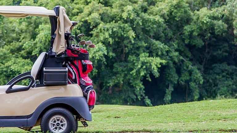 No signs of intoxication in golf-cart crash that injured nine people ...