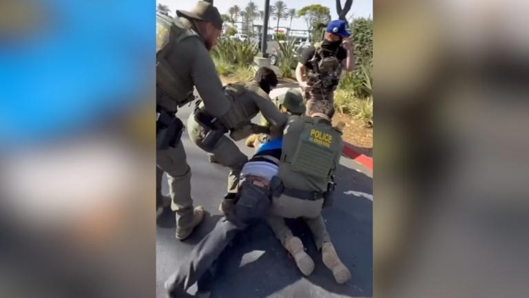 Border agent seen in viral arrest of U.S. citizen fatally overdosed ...