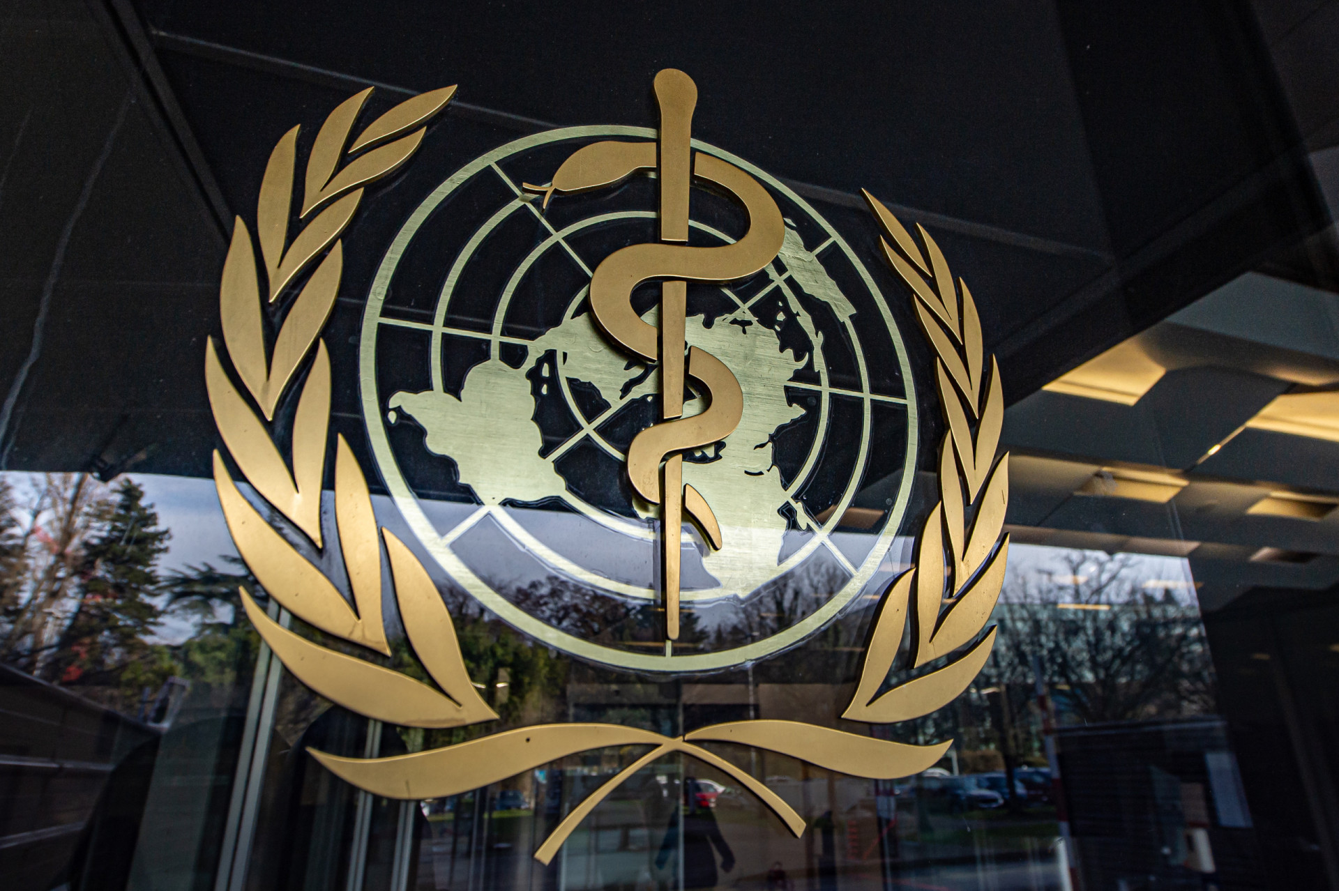 The history of the World Health Organization