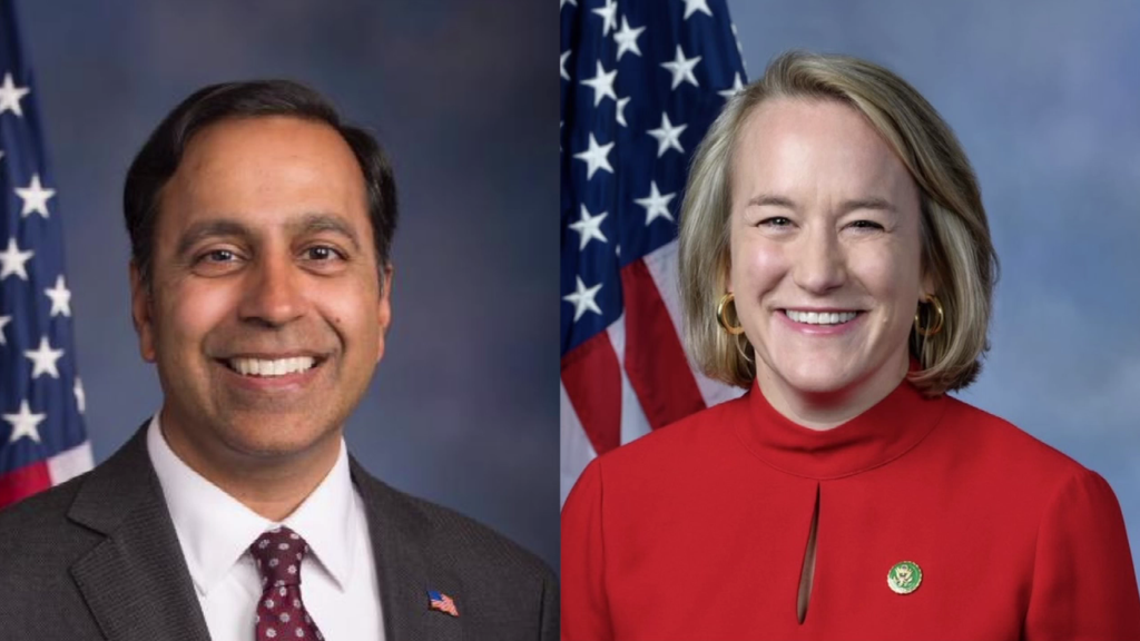 Ill. U.S. Reps. Nikki Budzinski and Raja Krishnamoorthi named in Minn ...