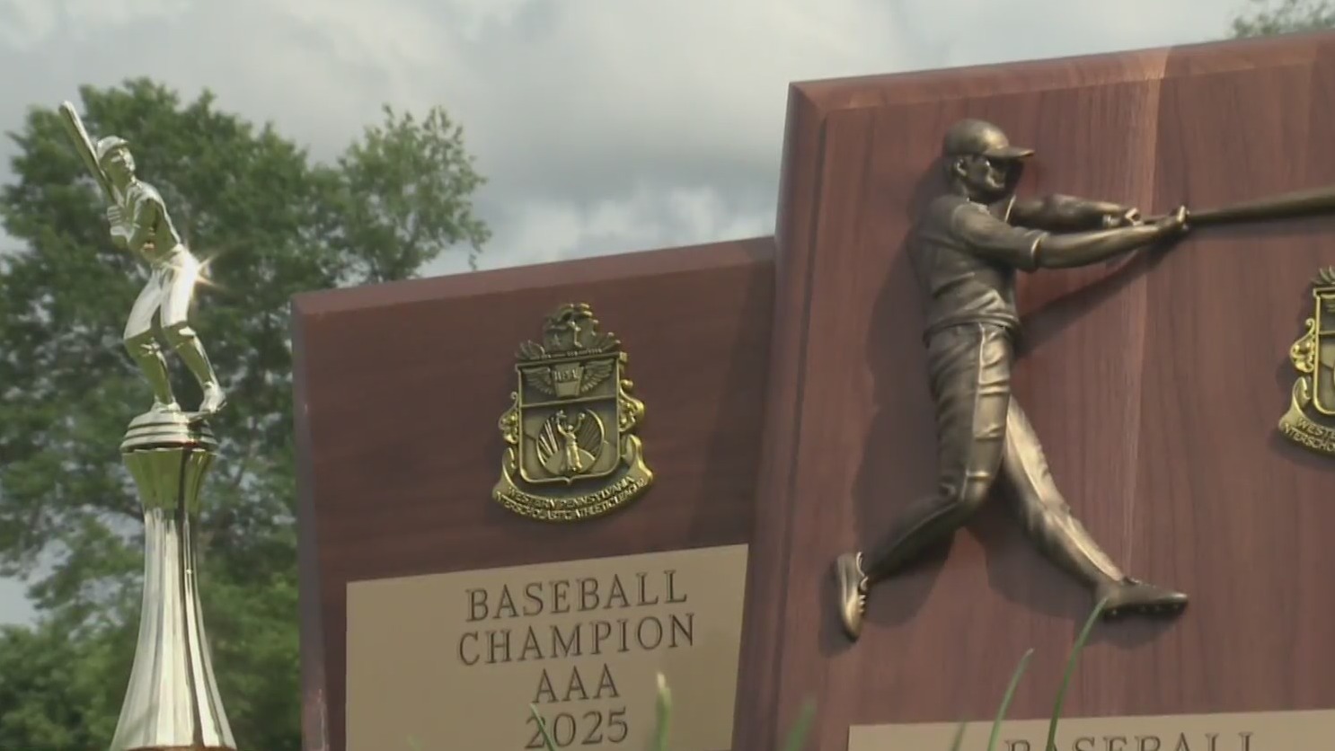 Riverside baseball team wins PIAA title as pitcher Zach Hare makes history