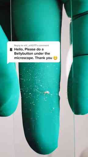 Exploring Belly Button Lint Under a Microscope