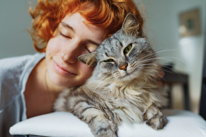 15 Secrets To Winning A Cat’s Heart That Actually Work