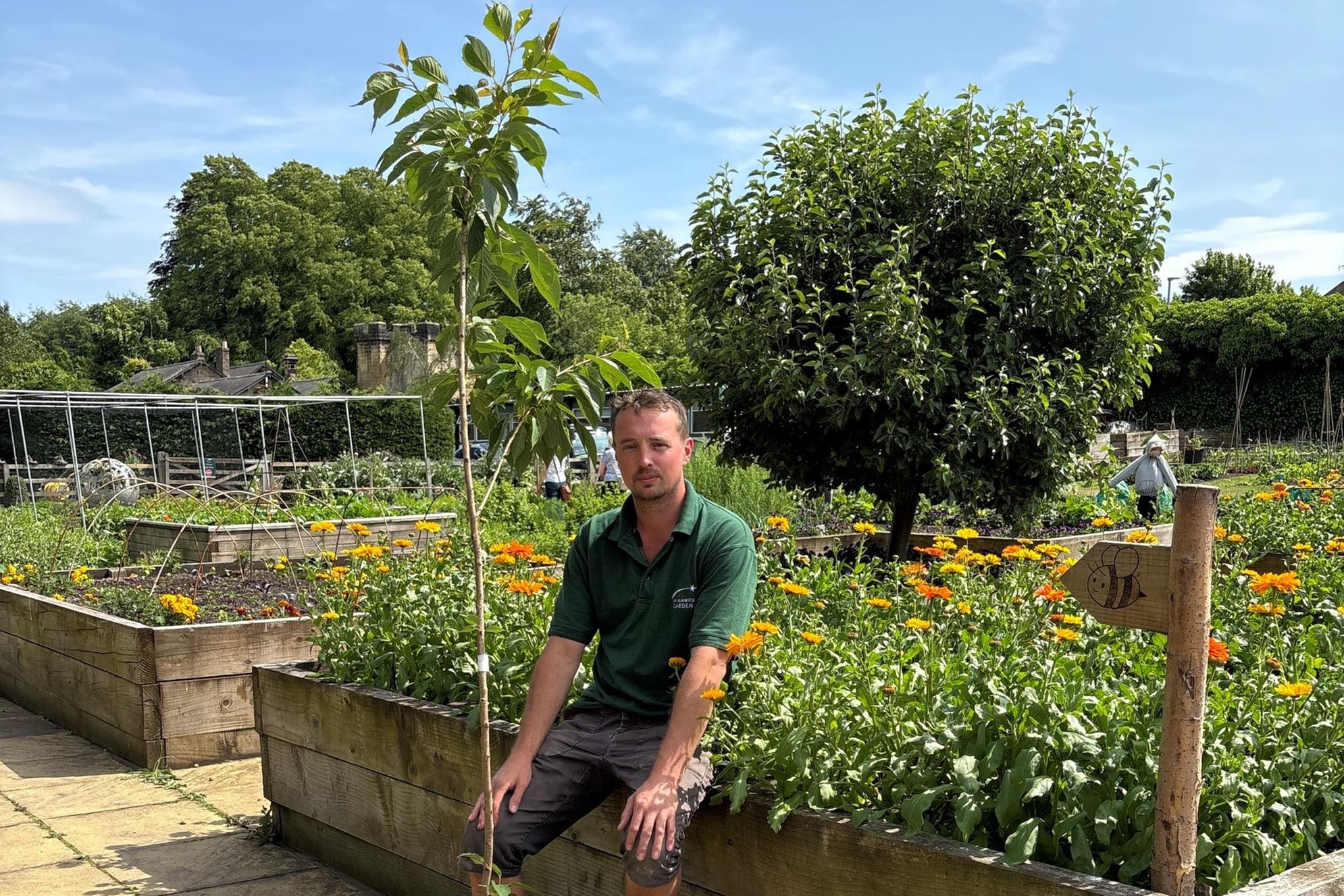 The Alnwick Garden donates Tai Haku trees to support Baltic art ...