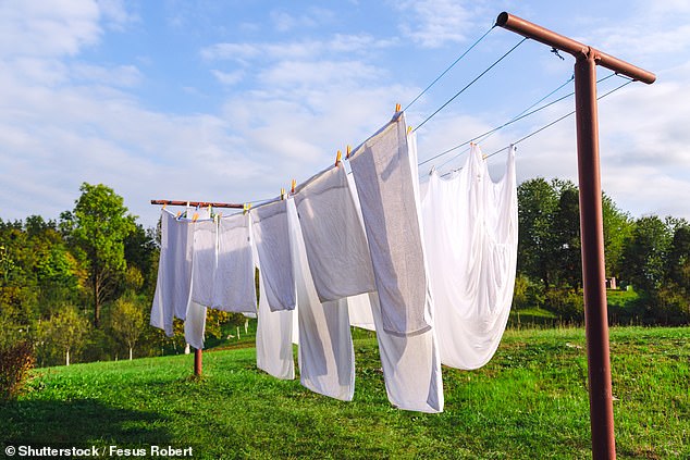 You're drying your washing wrong! Expert reveals why you SHOULDN'T hang ...