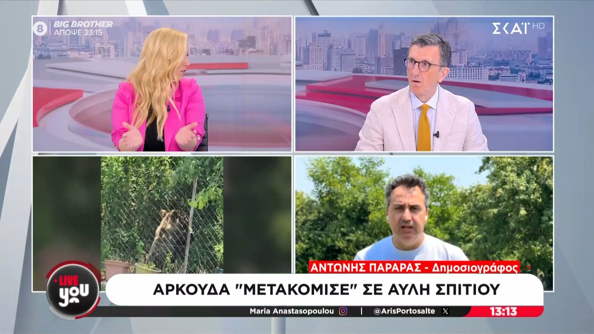 Αρκούδα "μετακόμισε" σε αυλή σπιτιού - «300 αρκούδες κυκλοφορούν στην ...