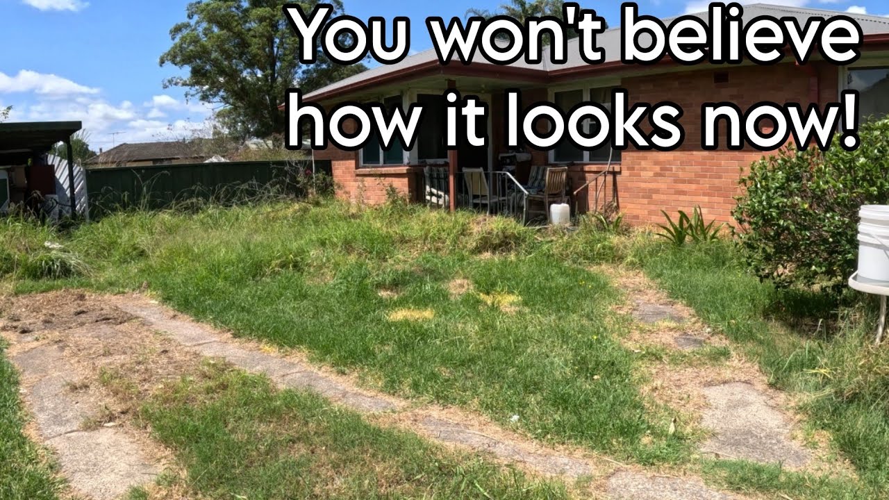Backyard Redemption — UGLY Yard Becomes Unrecognizable