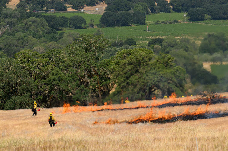 California's 2025 wildfire season was already going to be dangerous ...