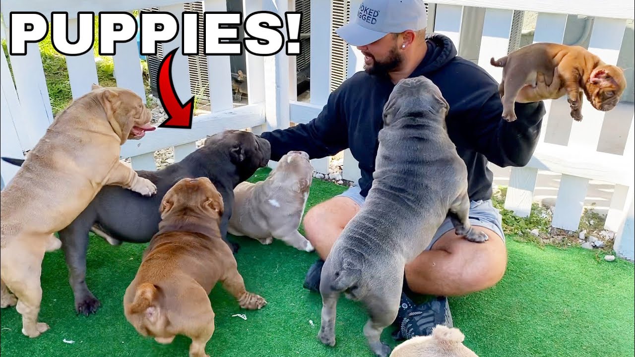 Did You See That Coming? Joey Slay Em’s Epic Shuffle