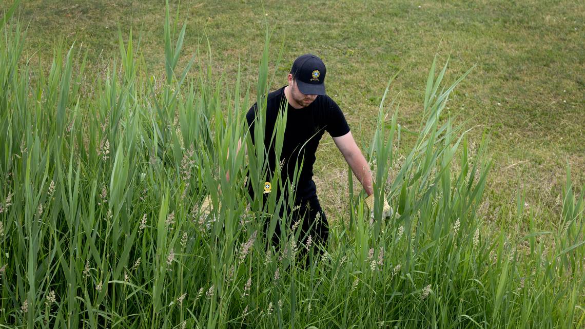 Day 4: Search for Claire Bell continues on Wednesday