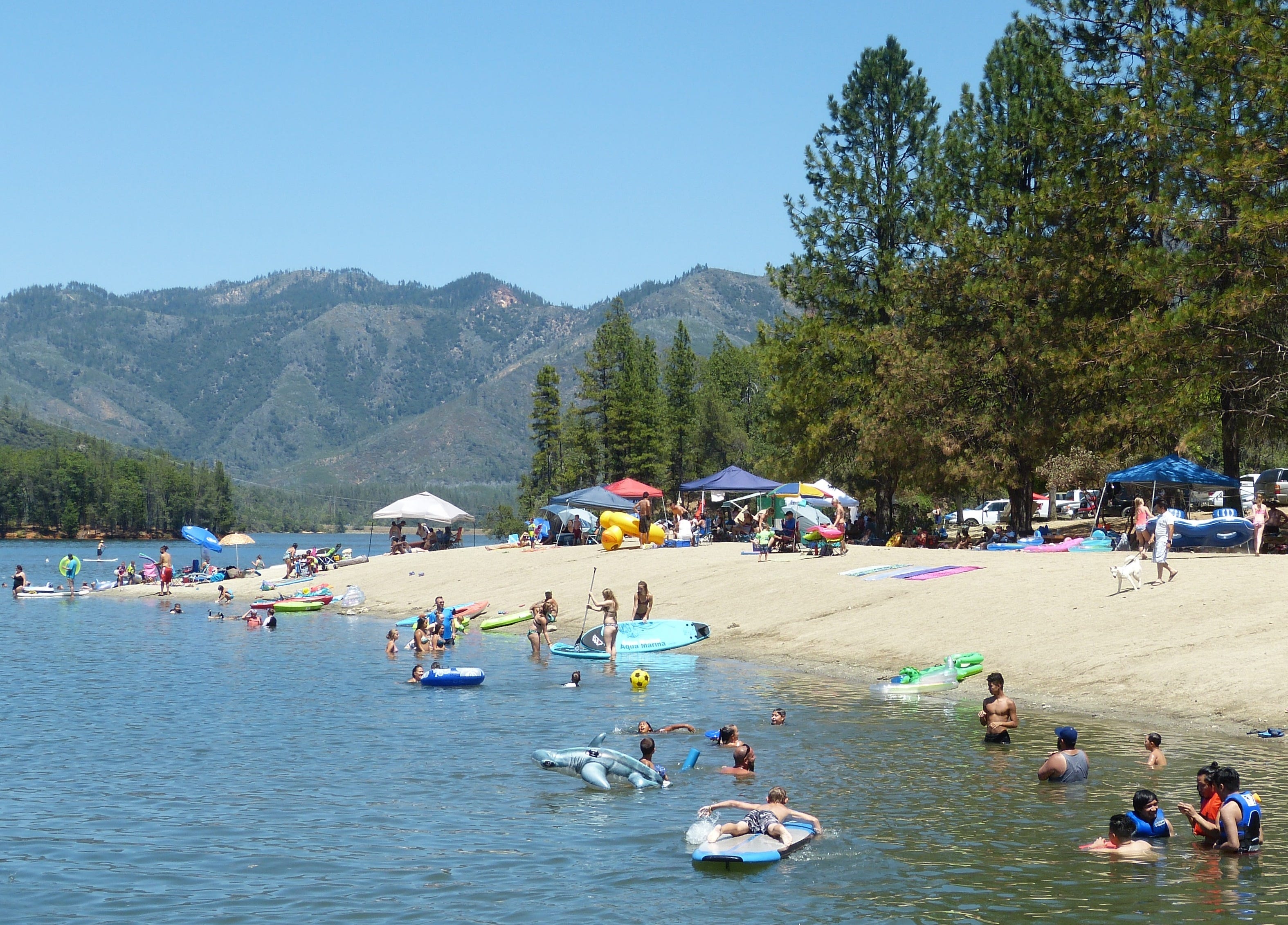 Don't get a rash at Redding lakes: Swimmer's itch explained, how to ...