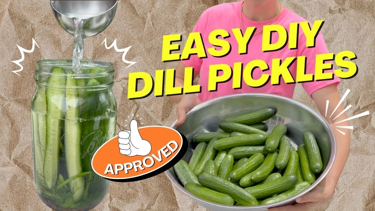 Easy DIY Dill Pickles