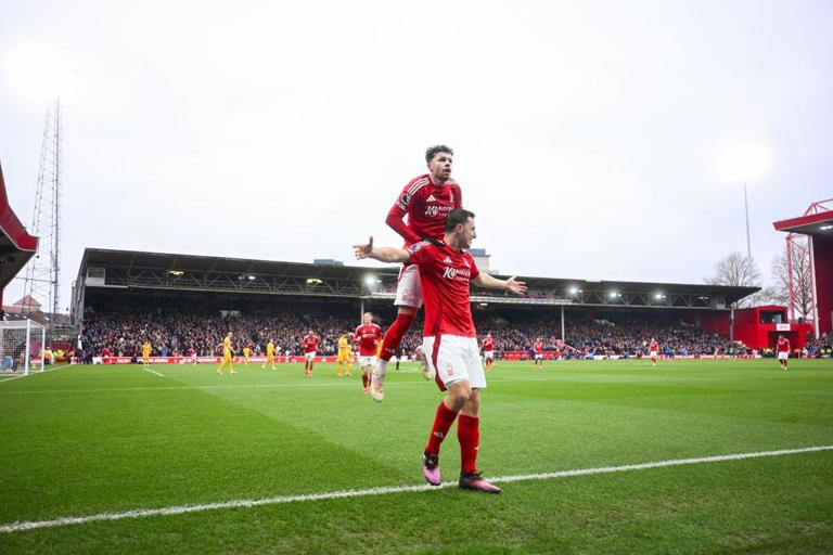 Best Japanese grey import classics