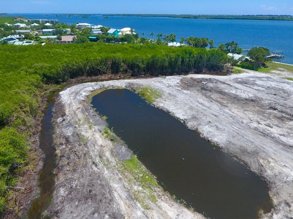 Is it illegal to cut down mangroves in Florida? Times mangroves cut ...