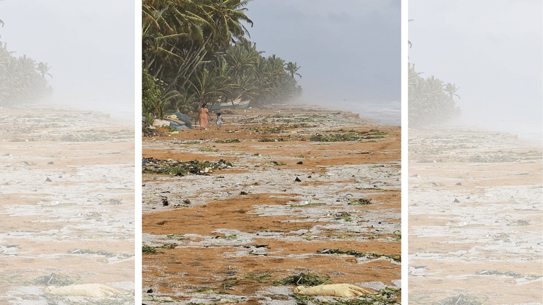 Two shipwrecks, one fragile coast: Kerala scrambles to contain impact ...