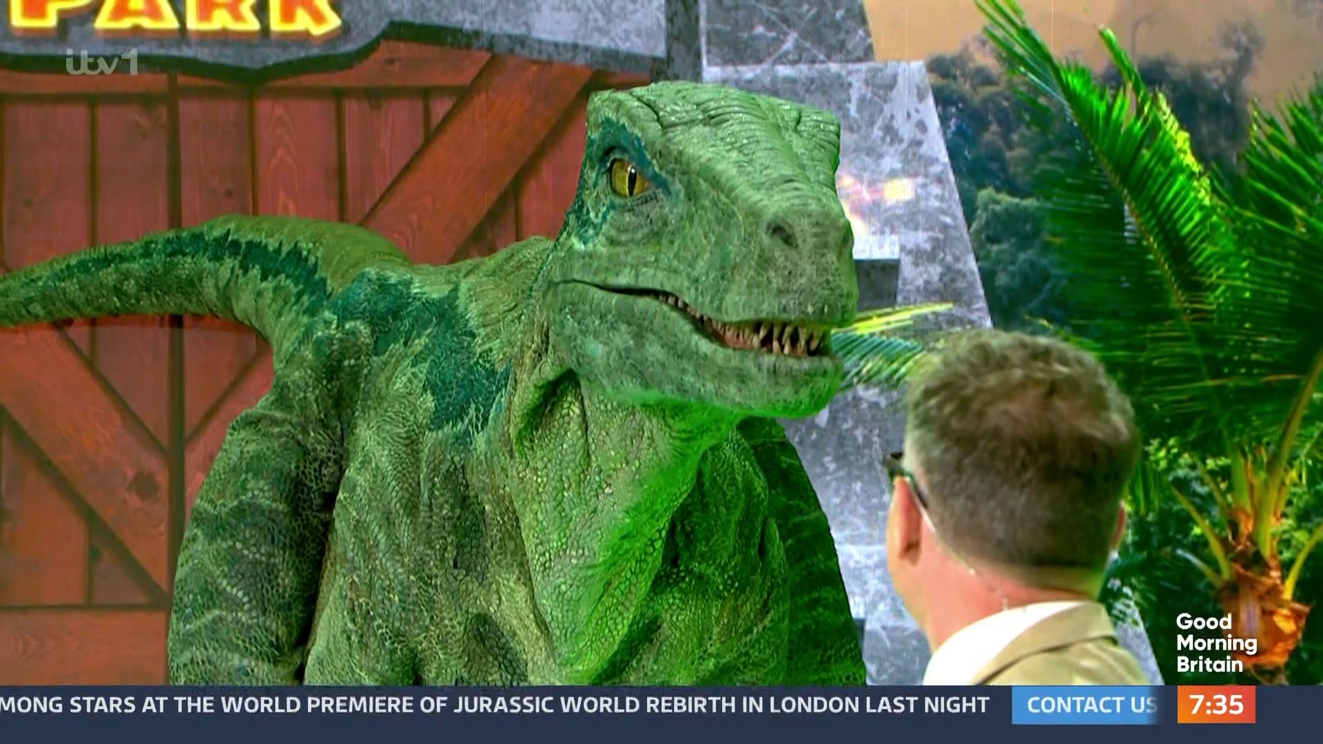 Good Morning Britain 'turns into CBBC' with dinosaurs