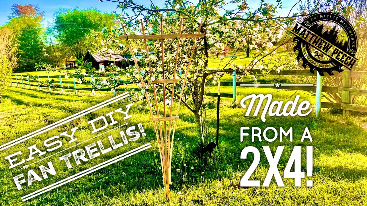 DIY Garden Fan Trellis - So Easy, You’ll Want One for Every Plant