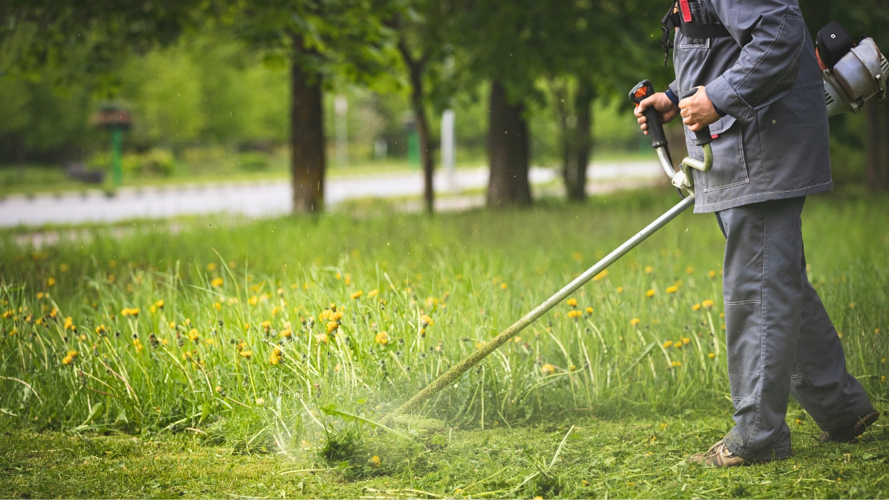 10 Weedeater Habits That Are Wearing Out Your Equipment Faster