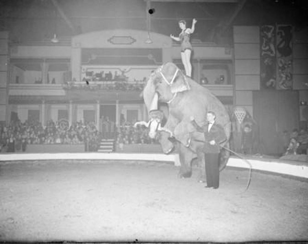 Remembering Glasgow Carnival at Kelvin Hall: 12 old pictures looking ...