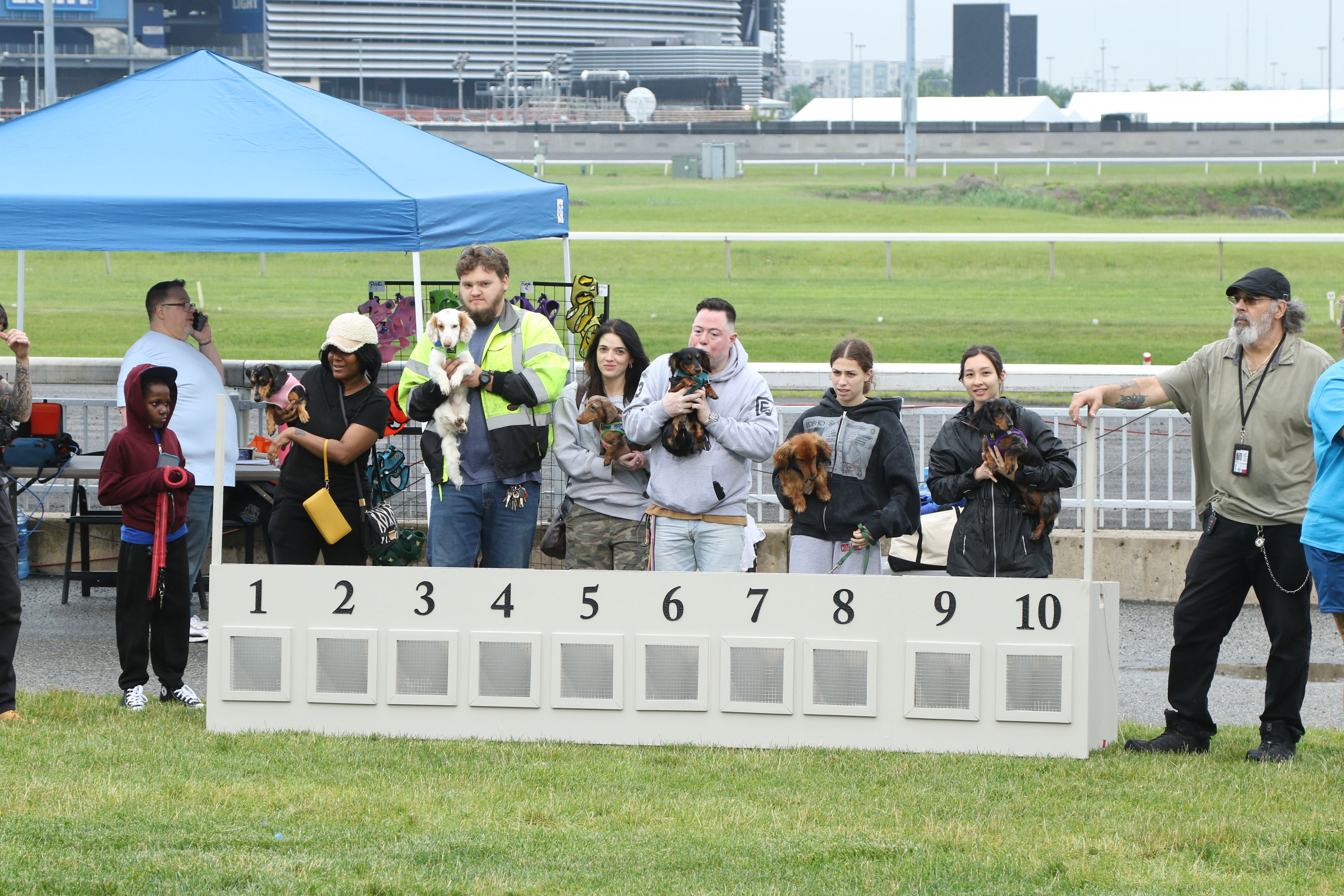 Bucky wins competitive wiener dog derby. His training was playing fetch.