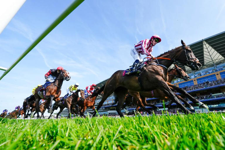 Irish punter scoops five-figure sum from €15 Royal Ascot bet